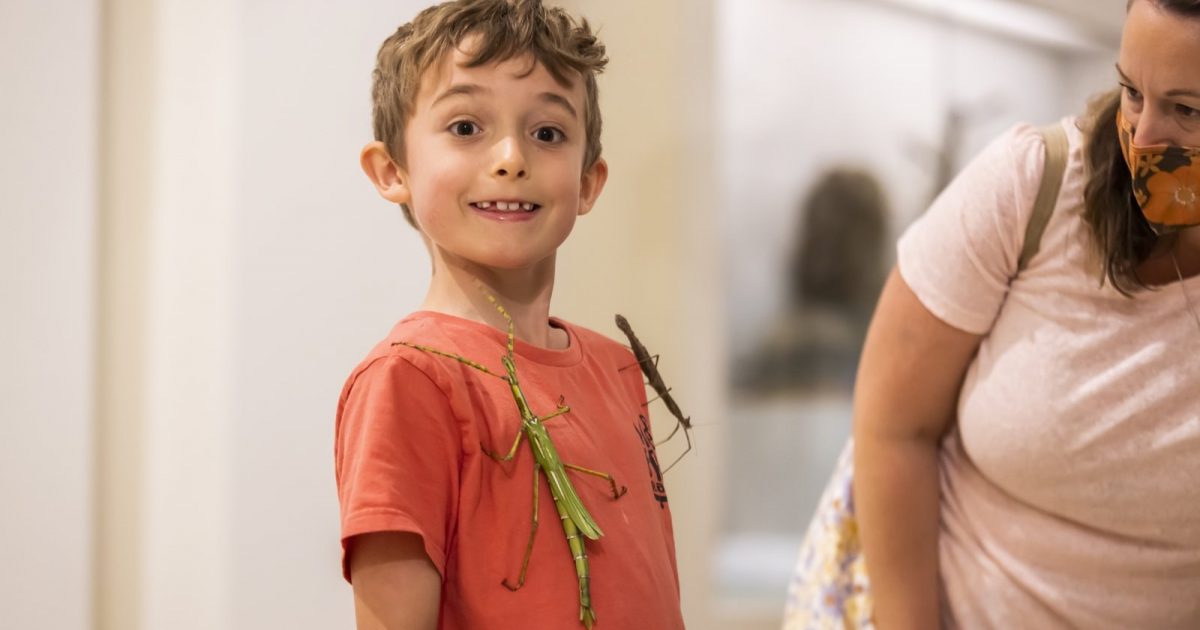 Early Birds: A good example of… – Autism Spectrum Australia (Aspect)